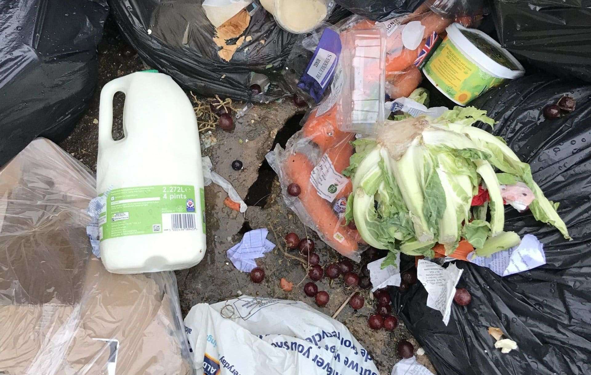 Mice Pest Control Services | DALPEST Pest Solutions - 24/7 Pest Control